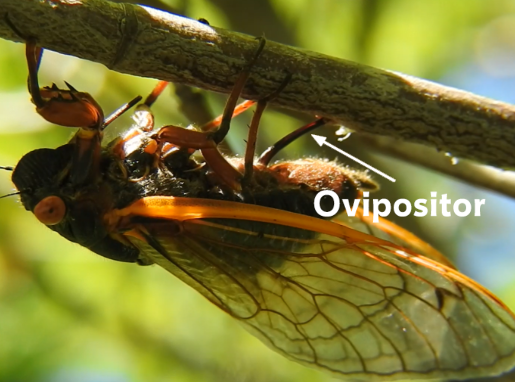 Nature Museum | Everything You Need To Know About…