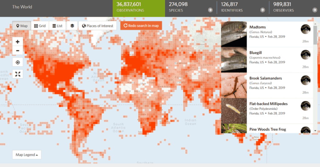 Nature Museum | Online Science Education in a Pandemic…