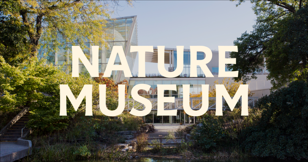 Nature Museum | Inspiring Nature Champions