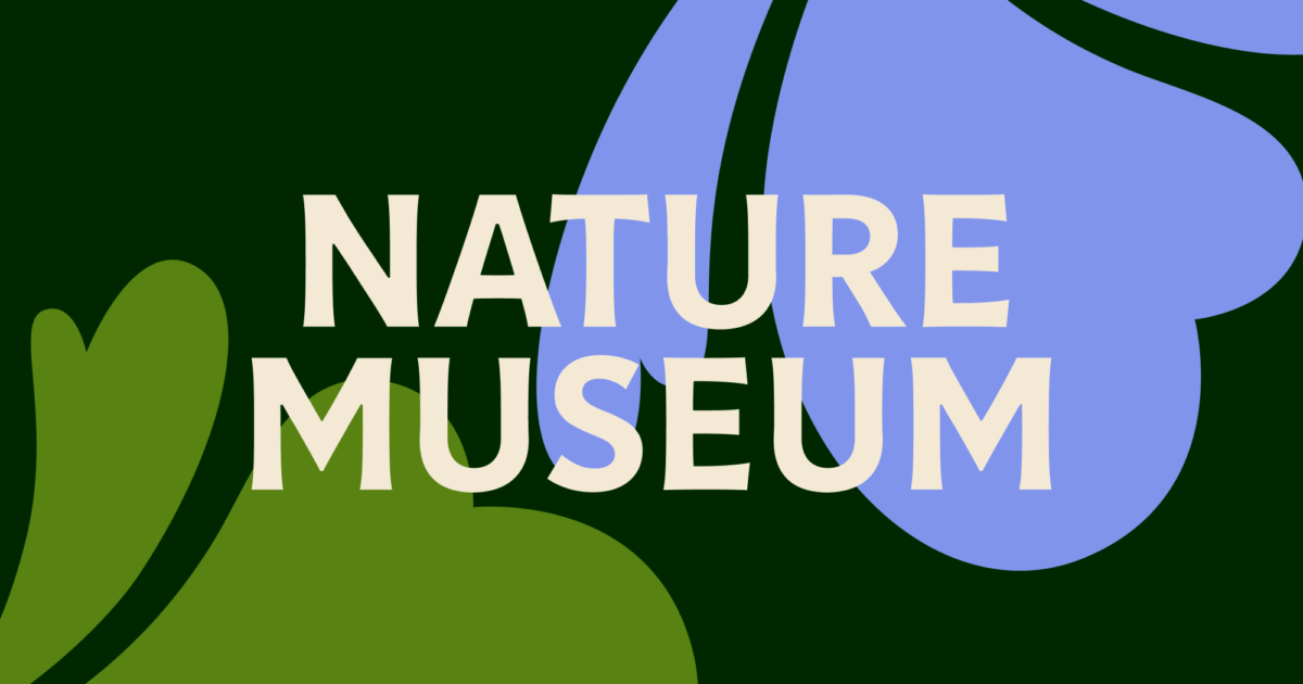 Nature Museum | About Us