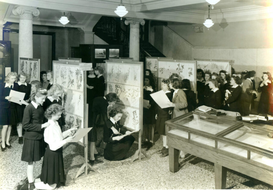 Nature Museum | Anna Pedersen Kummer