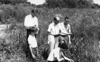 Nature Museum | Remembering Dr. William J. Beecher