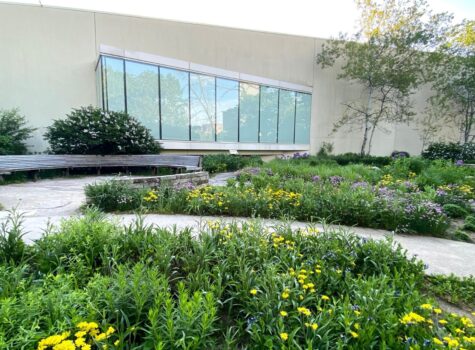 Nature Museum | Woody Wickham Butterfly Garden