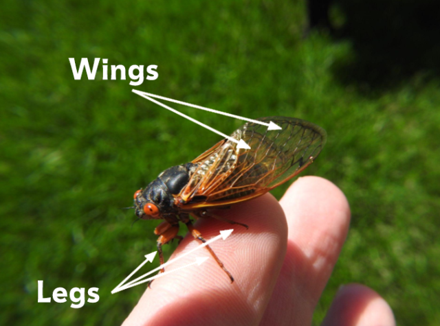 Nature Museum | Everything You Need To Know About…