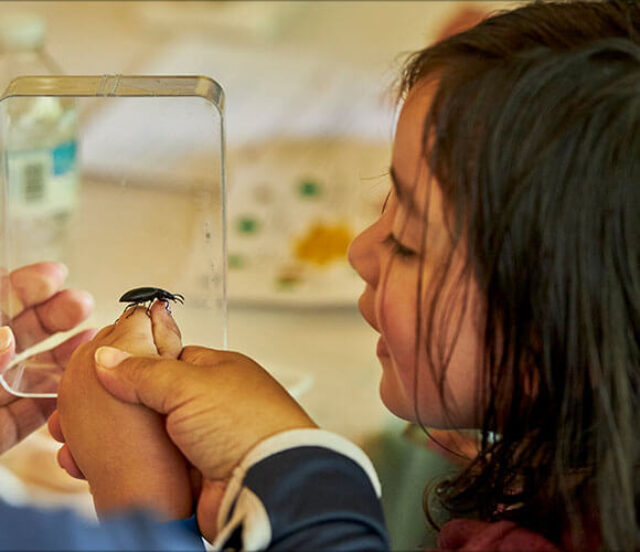 Nature Museum | Field Trips